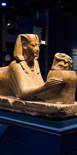 Ramses & the Gold of the Pharaohs - The Australian Museum