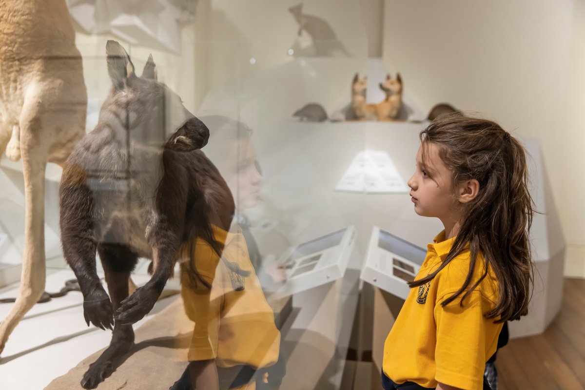 Animal features and the environment - The Australian Museum