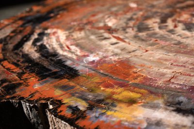 Jasperised wood - The Australian Museum
