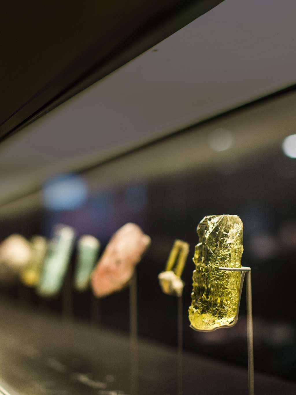 Warren Somerville Collection - The Australian Museum