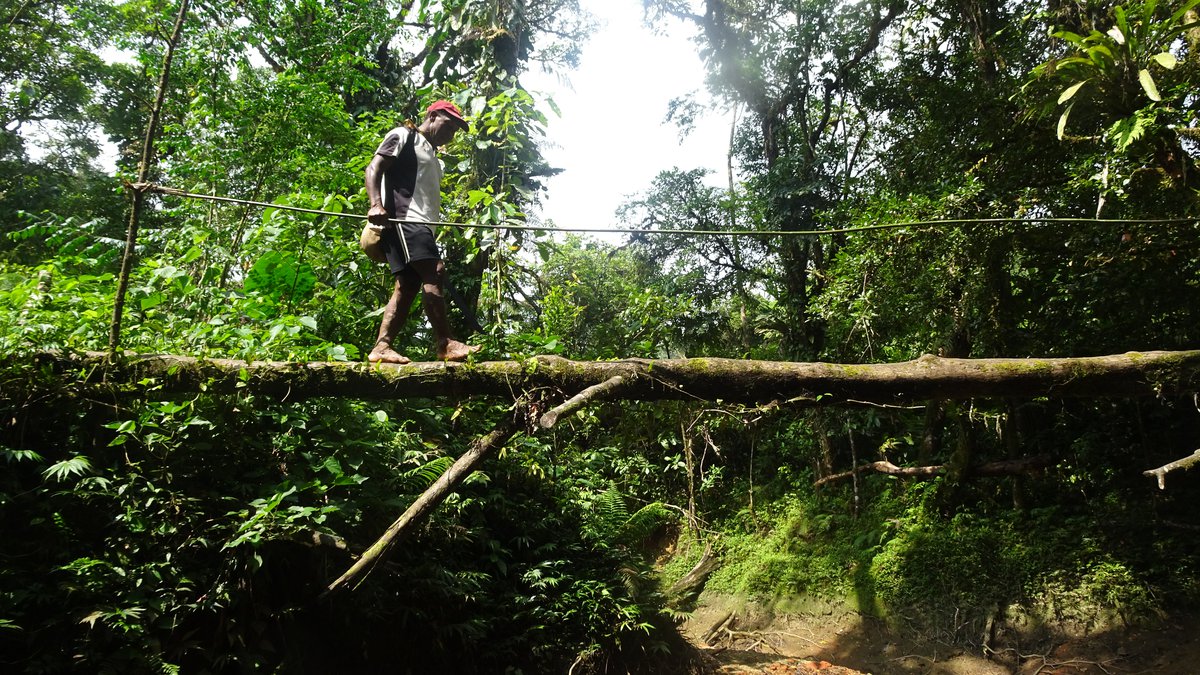 Expedition to the Mountains of Malaita - The Australian Museum Blog