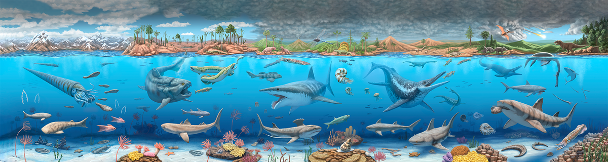 The ancient ones - The Australian Museum