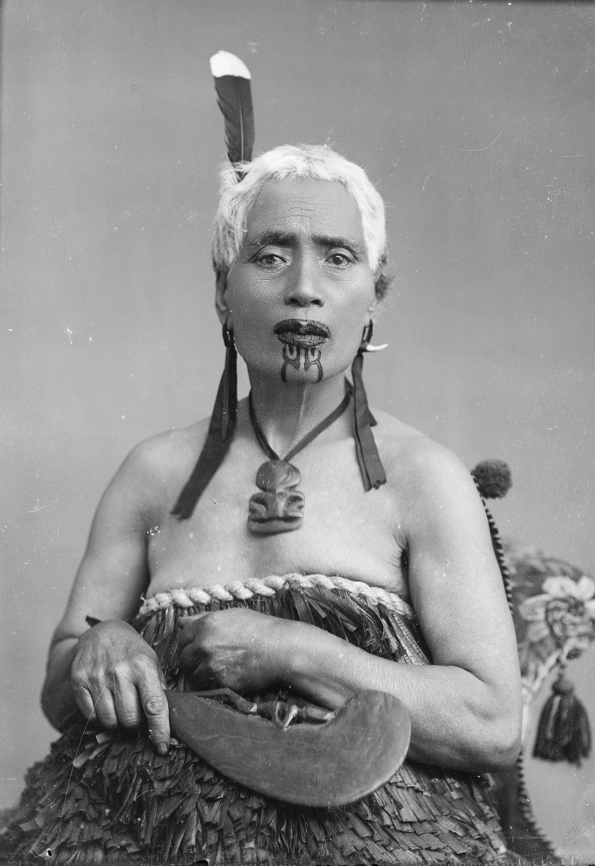 Aotearoa - The Australian Museum