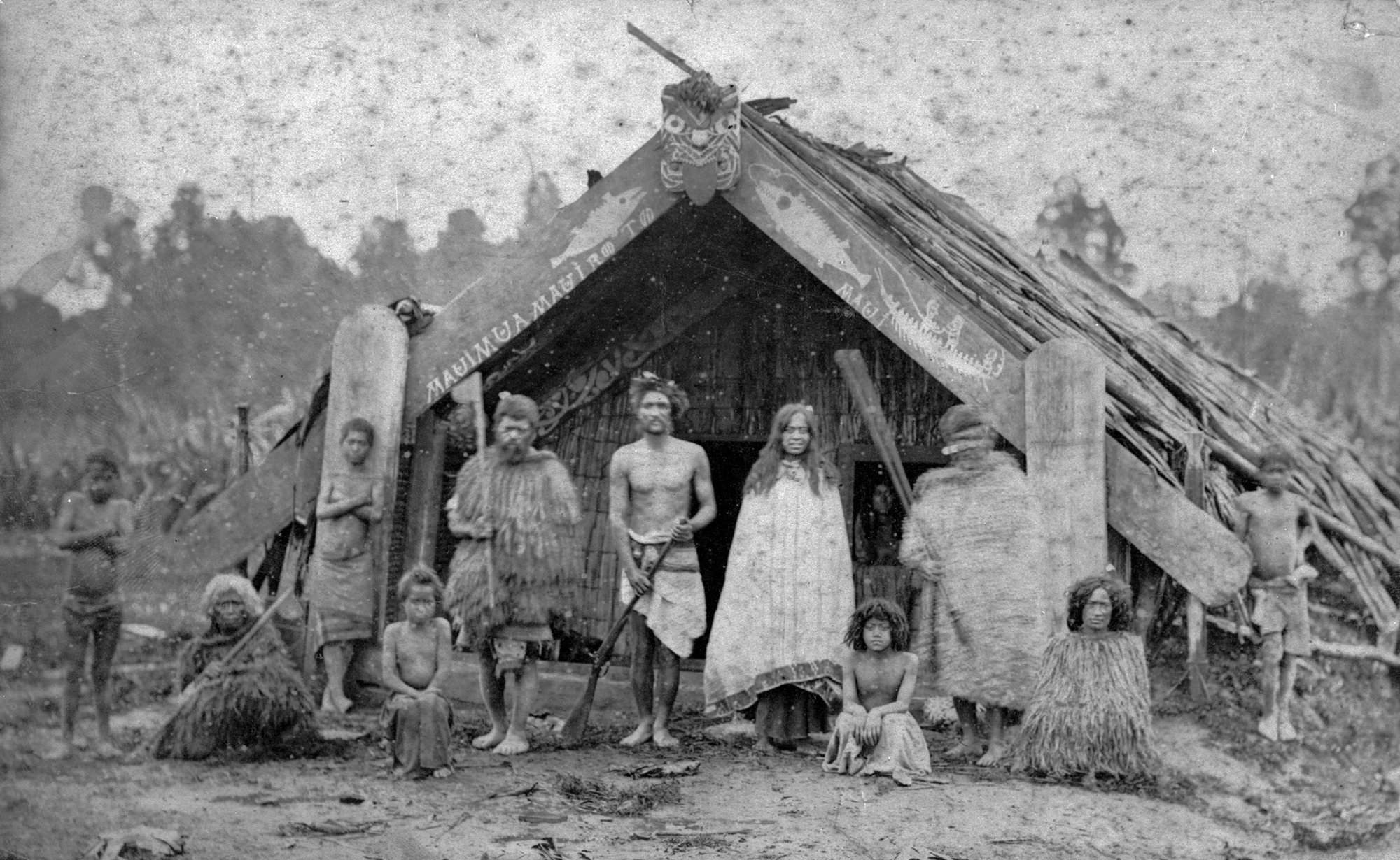 Aotearoa - The Australian Museum