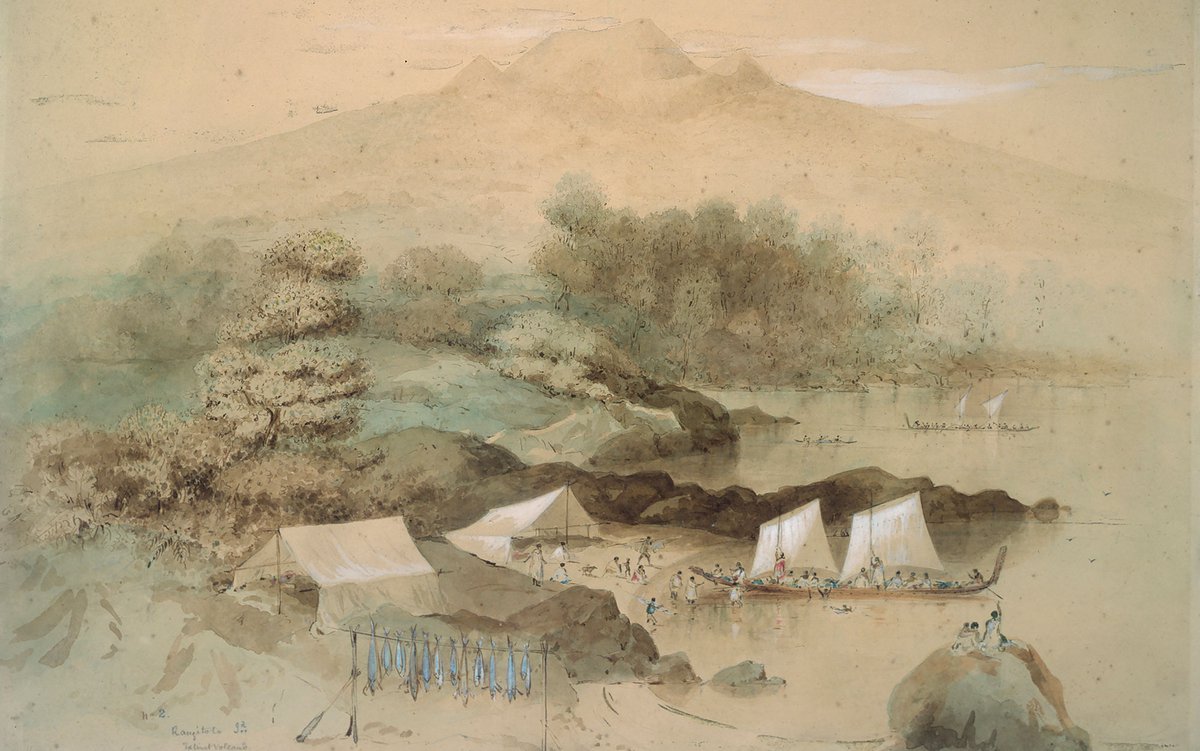 Aotearoa - The Australian Museum