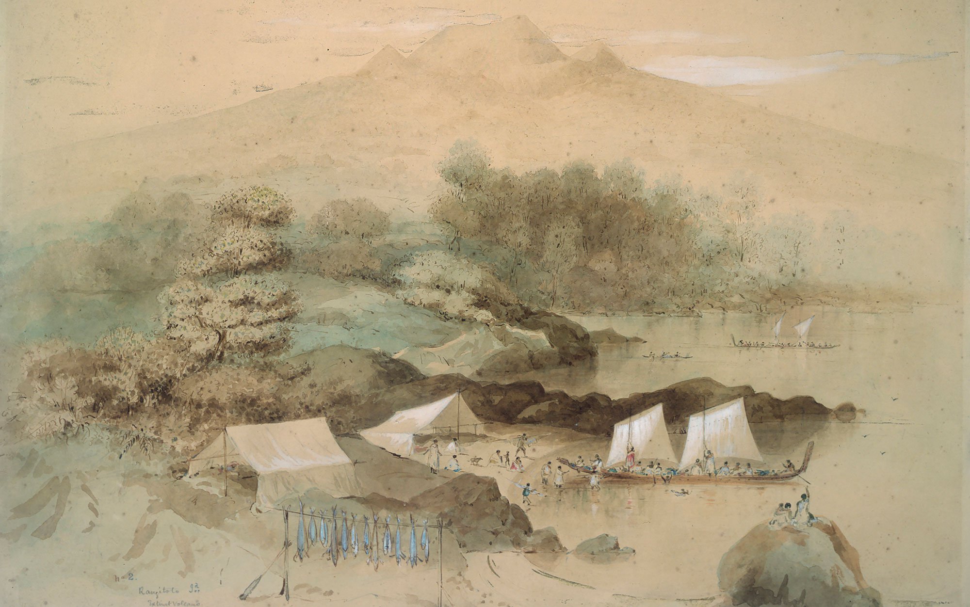 Aotearoa - The Australian Museum