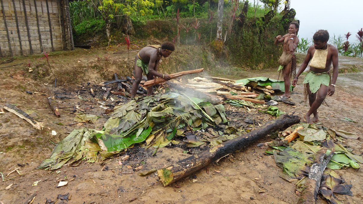 Expedition to the Mountains of Malaita - The Australian Museum Blog