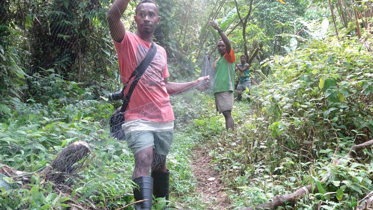 Expedition to the Mountains of Malaita - The Australian Museum Blog