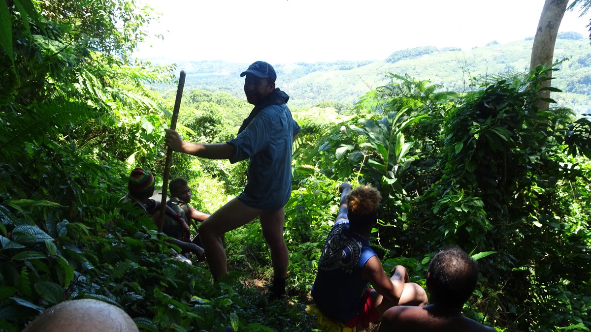 Expedition to the Mountains of Malaita - The Australian Museum Blog