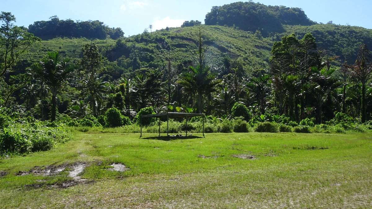 Expedition to the Mountains of Malaita - The Australian Museum Blog