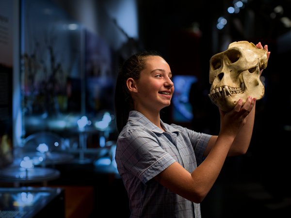 Education programs at the Museum - The Australian Museum