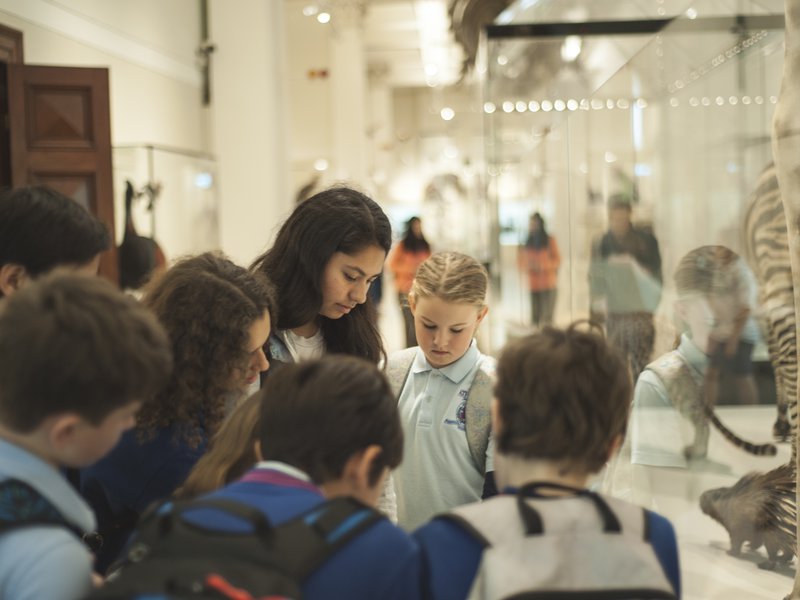 Wild Planet exhibition insights - The Australian Museum