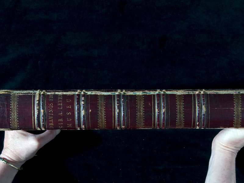 Australian Museum Research Library