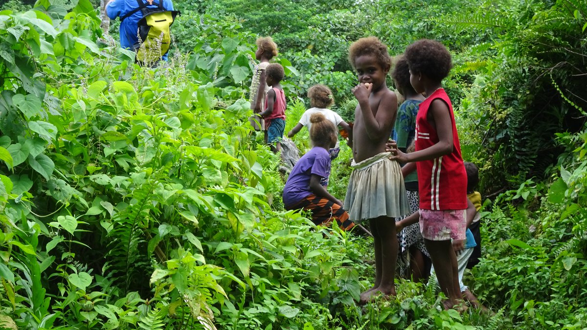 Expedition to the Mountains of Malaita - The Australian Museum Blog