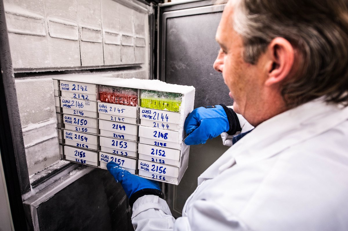 Australian Museum frozen tissue collection
