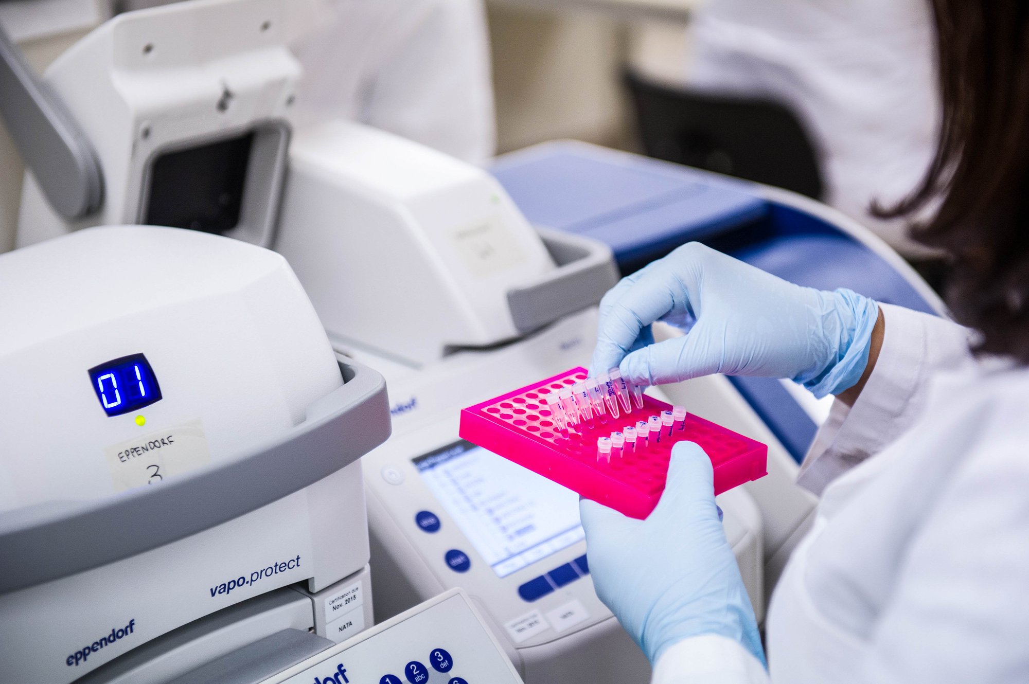 Australian Centre for Wildlife Genomics - The Australian Museum