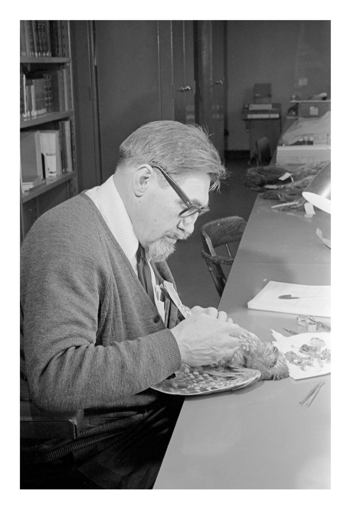 John Disney 'What's Hit is History - What's Missed is Mystery' - The ...