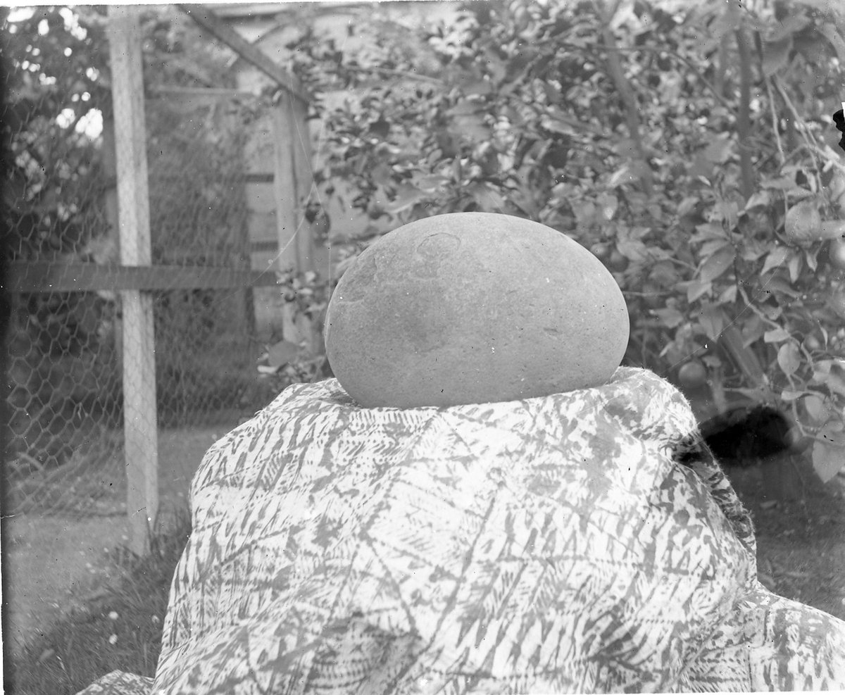 Walter Lawry Waterhouse Photograph Collection - The Australian Museum