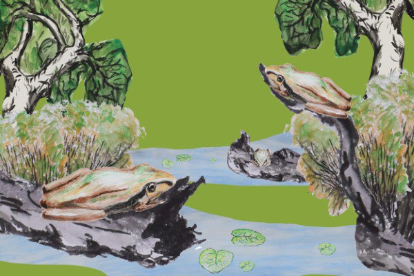 FrogID - The Australian Museum