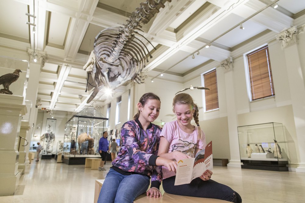 Visit the Australian Museum in Sydney