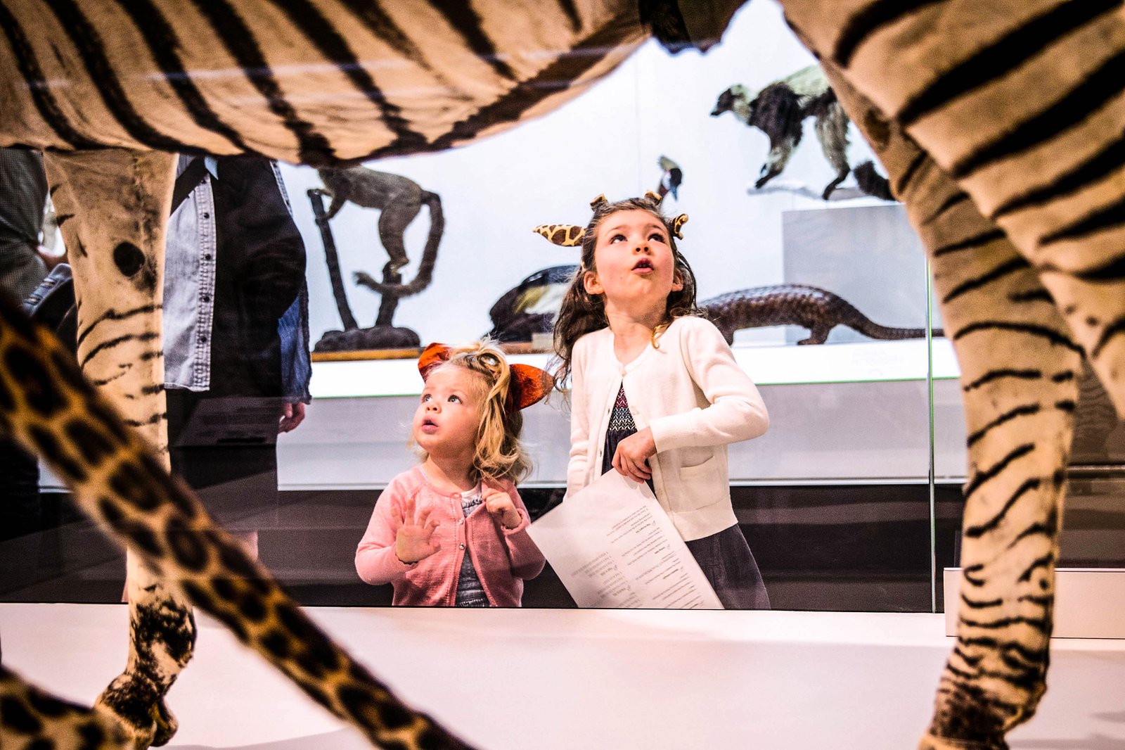 Wild Planet - The Australian Museum