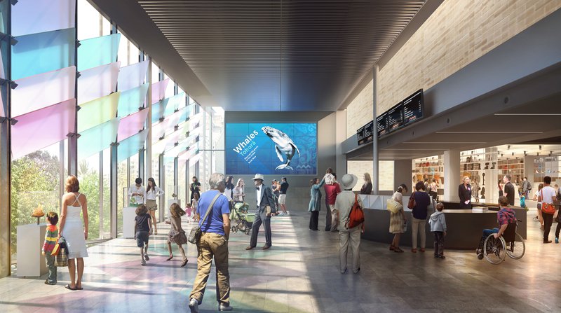 Australian Museum Members - The Australian Museum