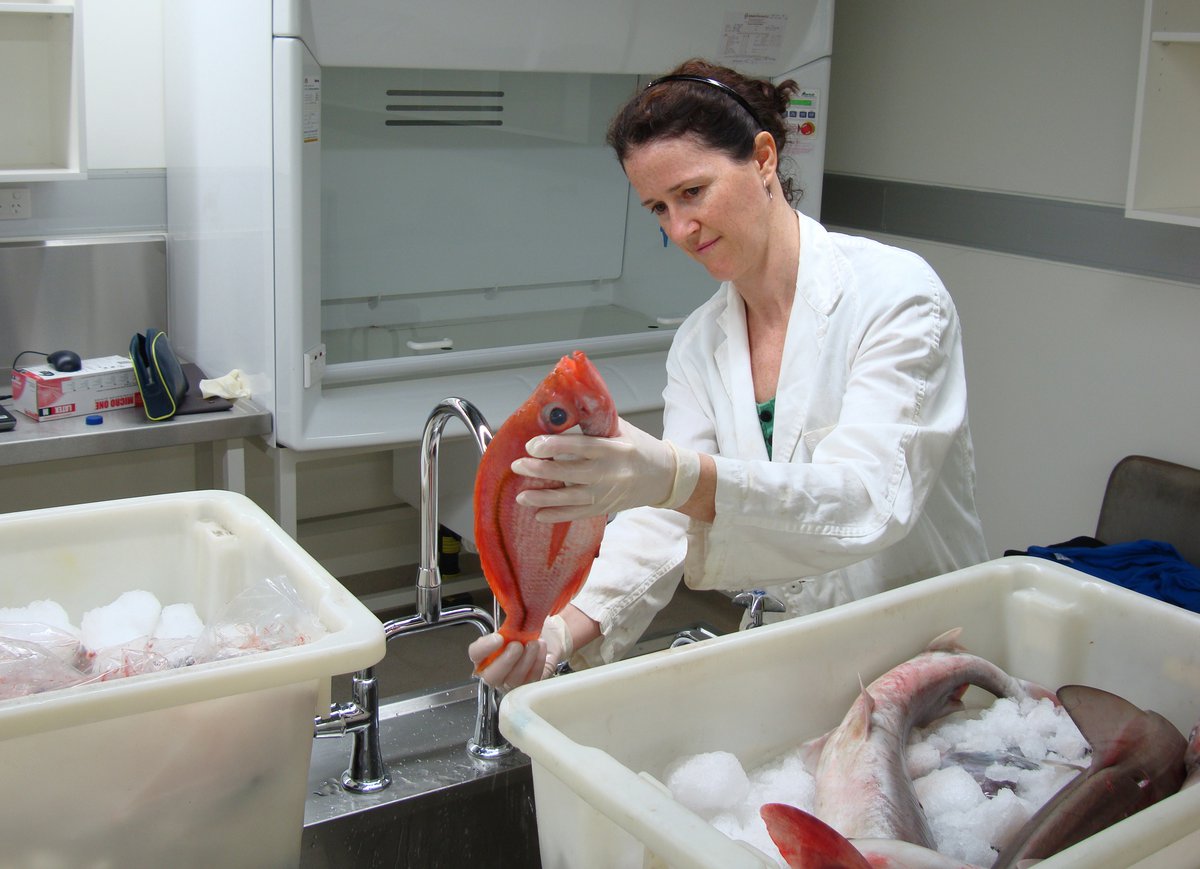 Ichthyology - The Australian Museum