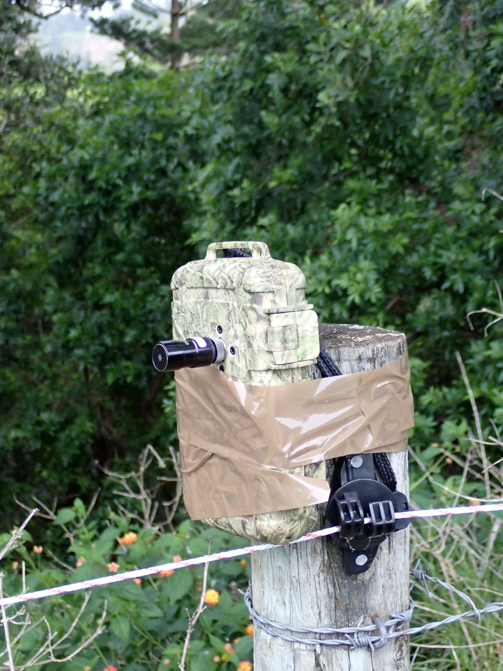 Australian Museum Research Institute - The Australian Museum