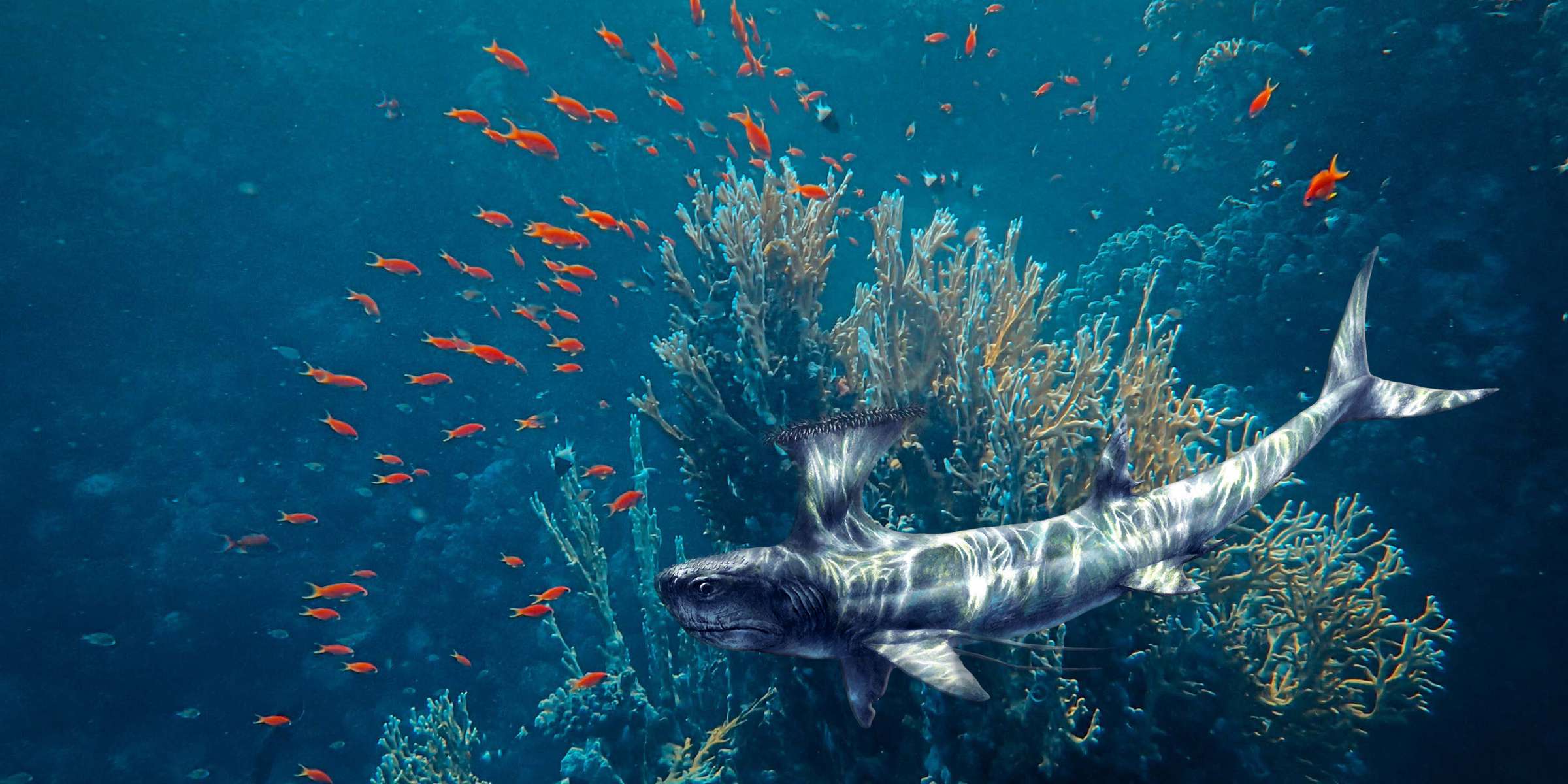 The ancient ones - The Australian Museum