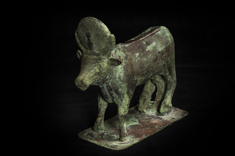 Bull Apis - E39829 - The Australian Museum