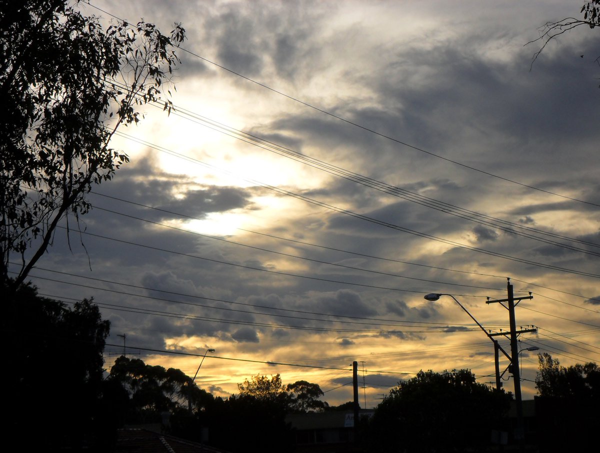 Climate change: how can I care for Country? - The Australian Museum