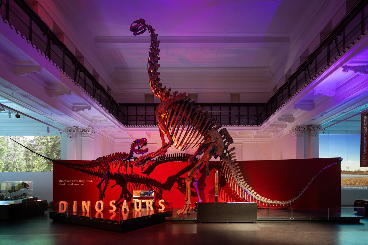 Australian Museum venue hire - The Australian Museum