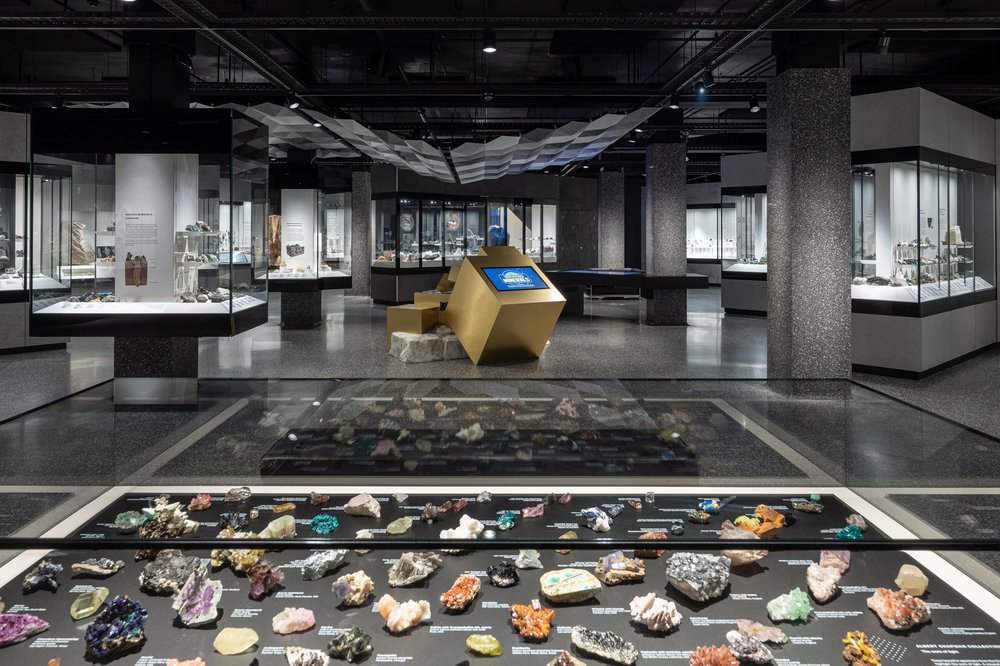 Australian Museum venue hire - The Australian Museum