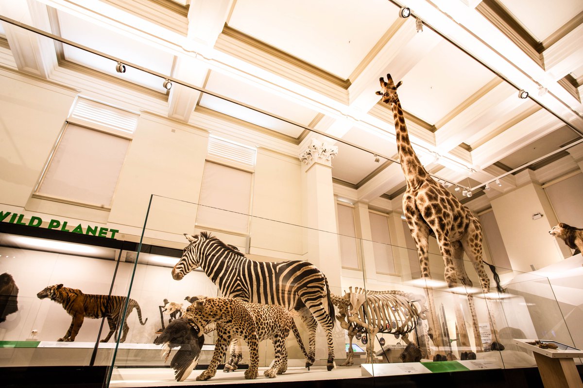Collecting evidence - The Australian Museum