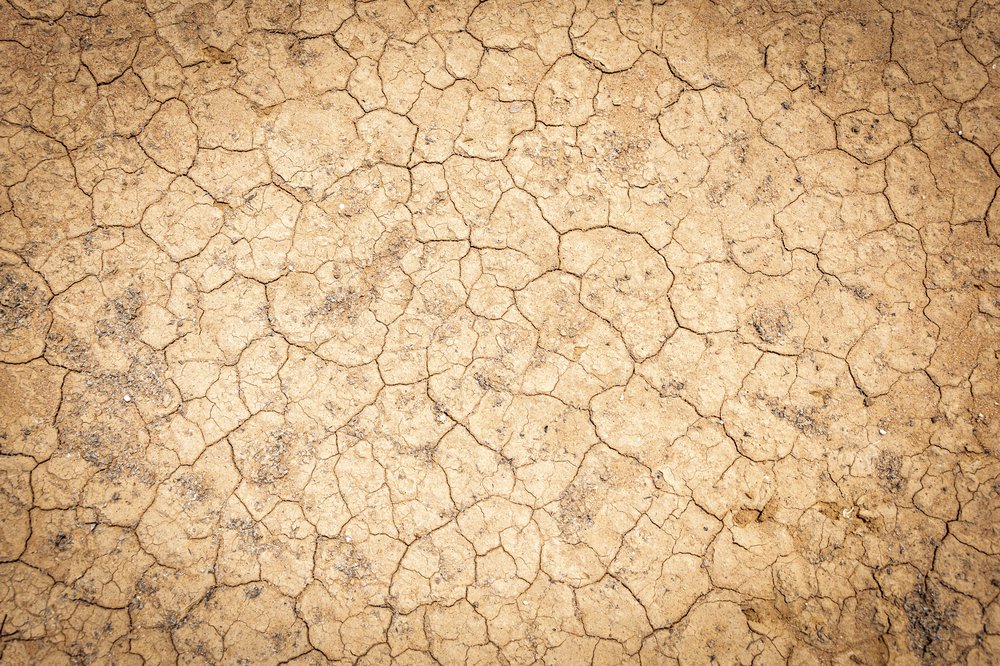 Barka: The Forgotten River - The Australian Museum