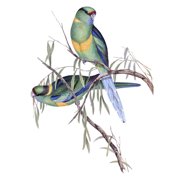 Australian Museum touring exhibitions