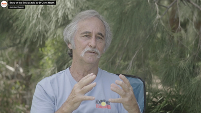 First Nations storytelling - The Australian Museum