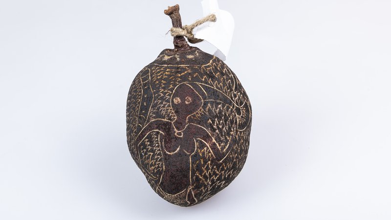 New acquisition: The Kimberley boab nut collection - The Australian ...