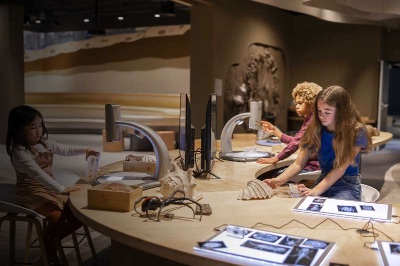 Explore - The Australian Museum