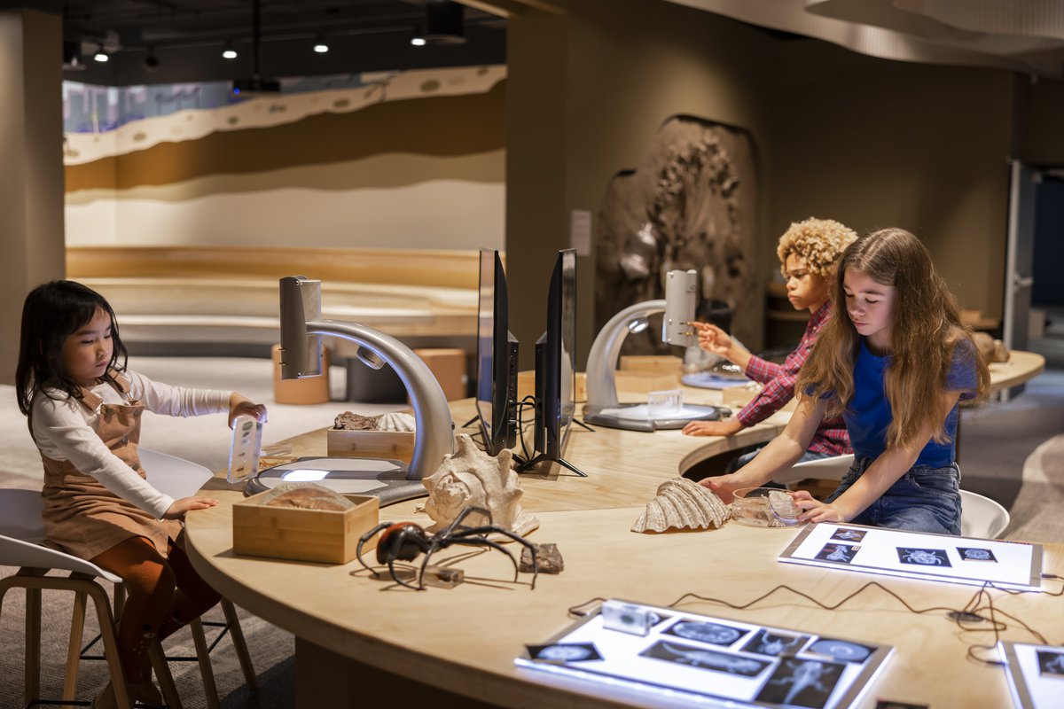 Australian Museum wins prestigious National Awards - The Australian Museum