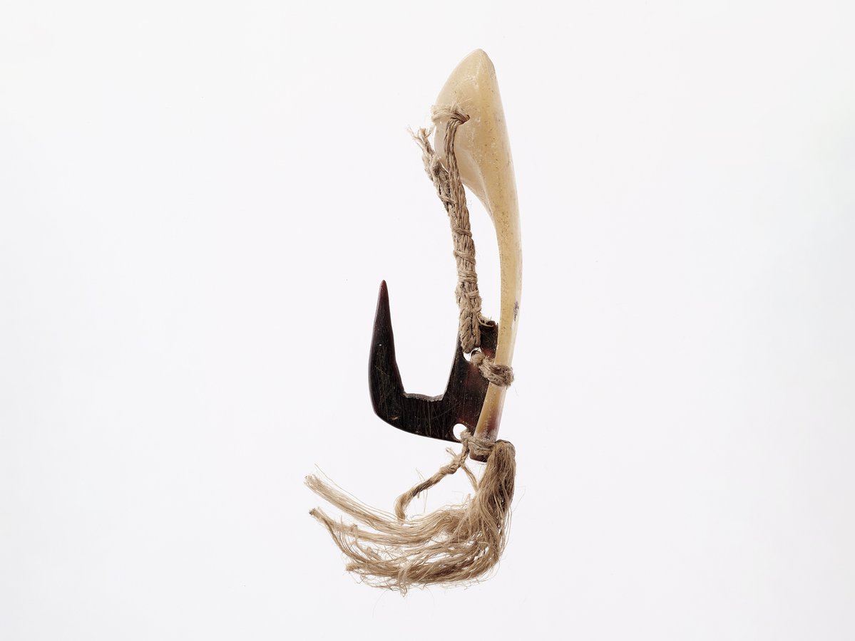 Tongan fish hooks - The Australian Museum