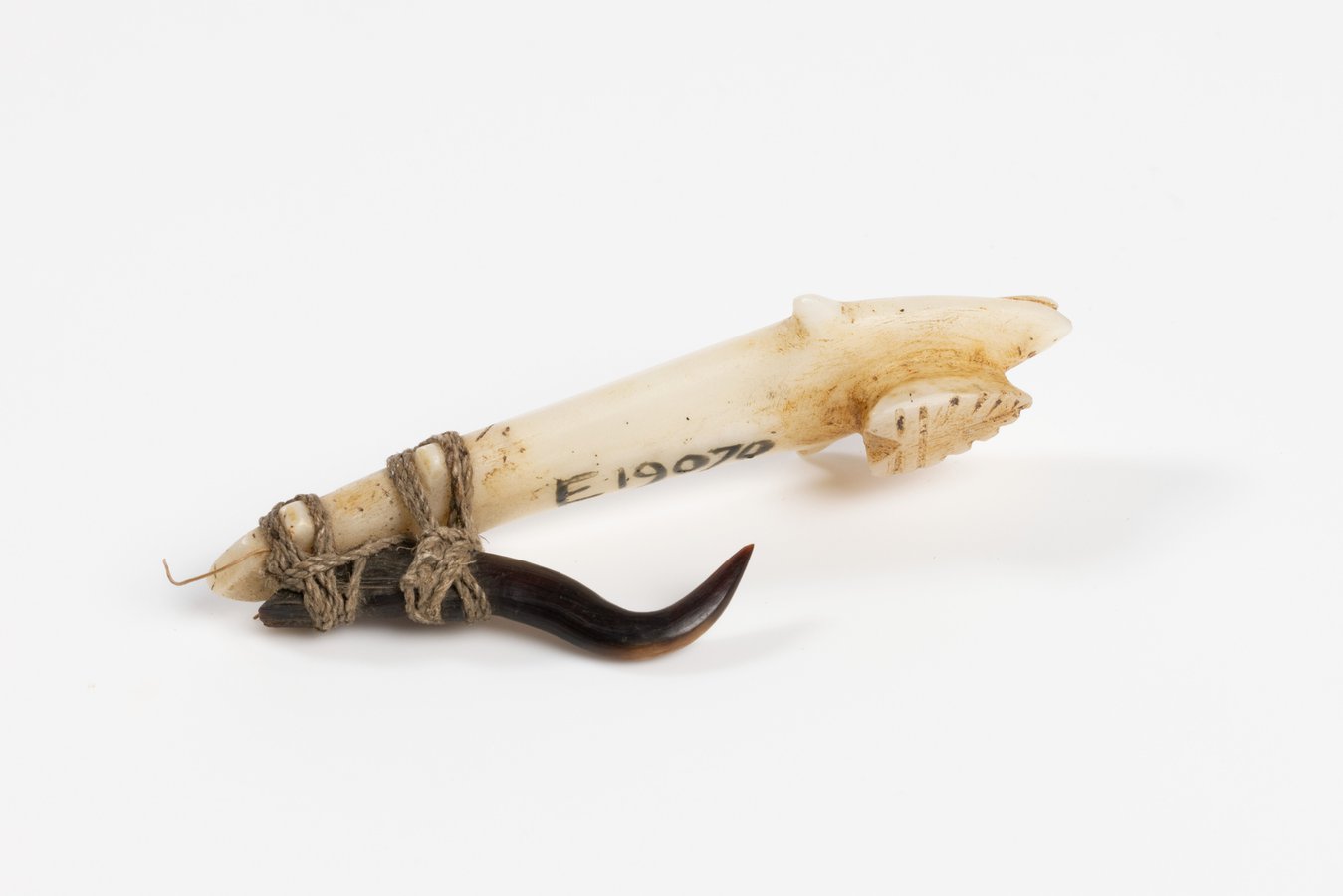 Solomon Islands fish hooks - The Australian Museum
