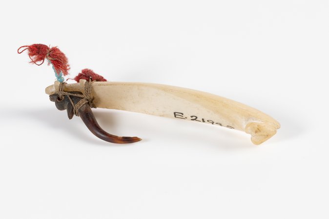 Solomon Islands fish hooks - The Australian Museum