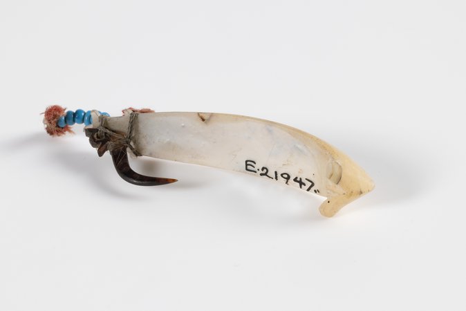 Solomon Islands fish hooks - The Australian Museum