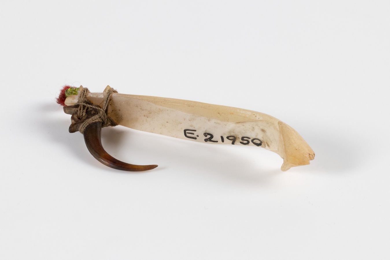Solomon Islands fish hooks - The Australian Museum