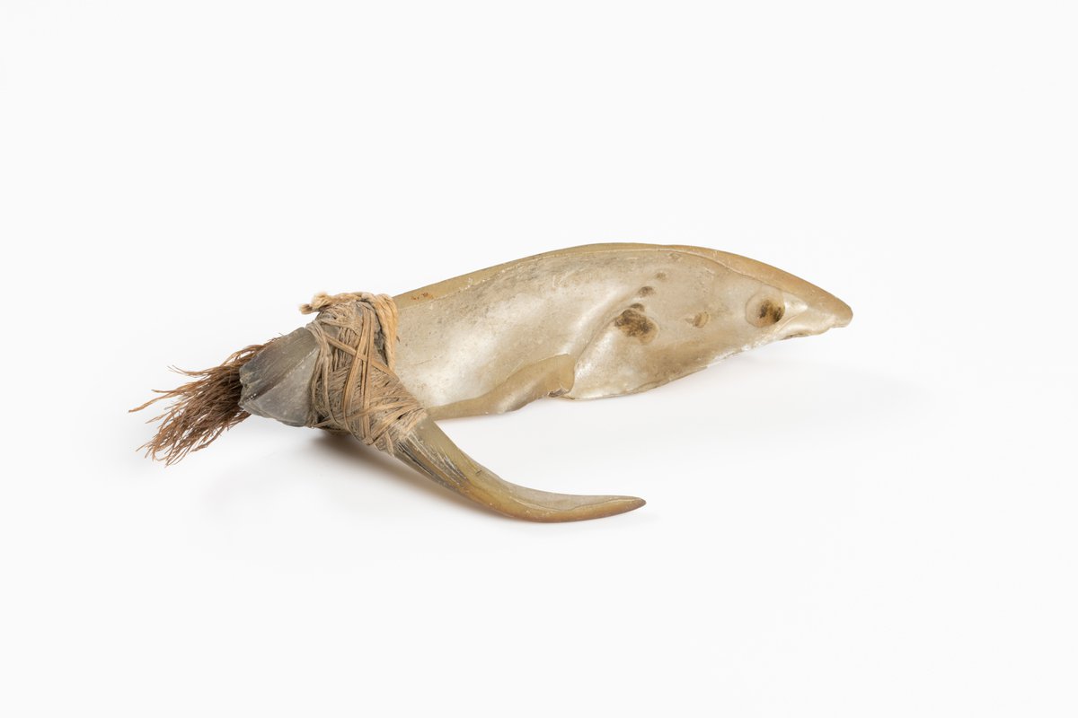 I-Kiribati fish hooks - The Australian Museum