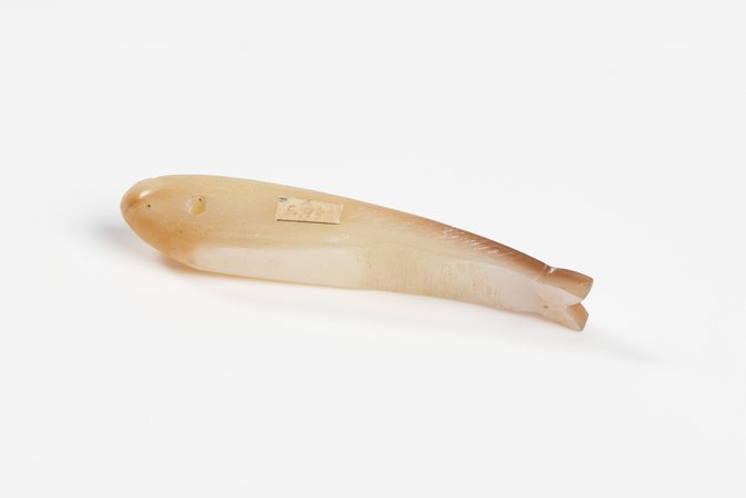 Niuean fish hooks - The Australian Museum