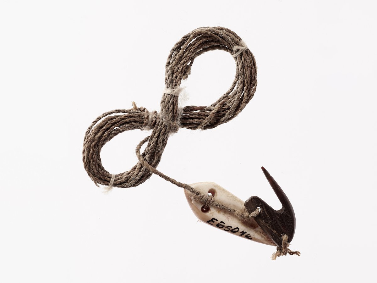 Tongan fish hooks - The Australian Museum