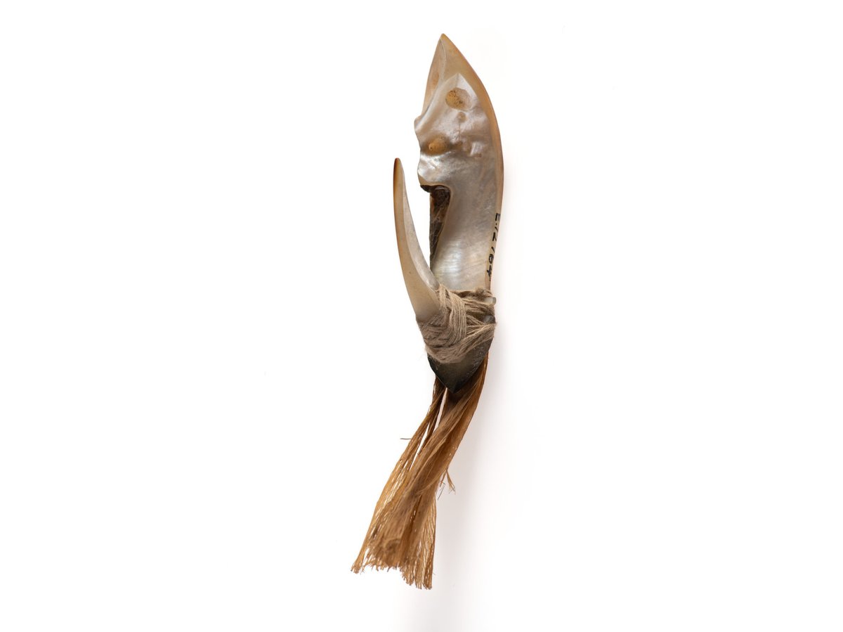 Marshall Islands fish hooks - The Australian Museum