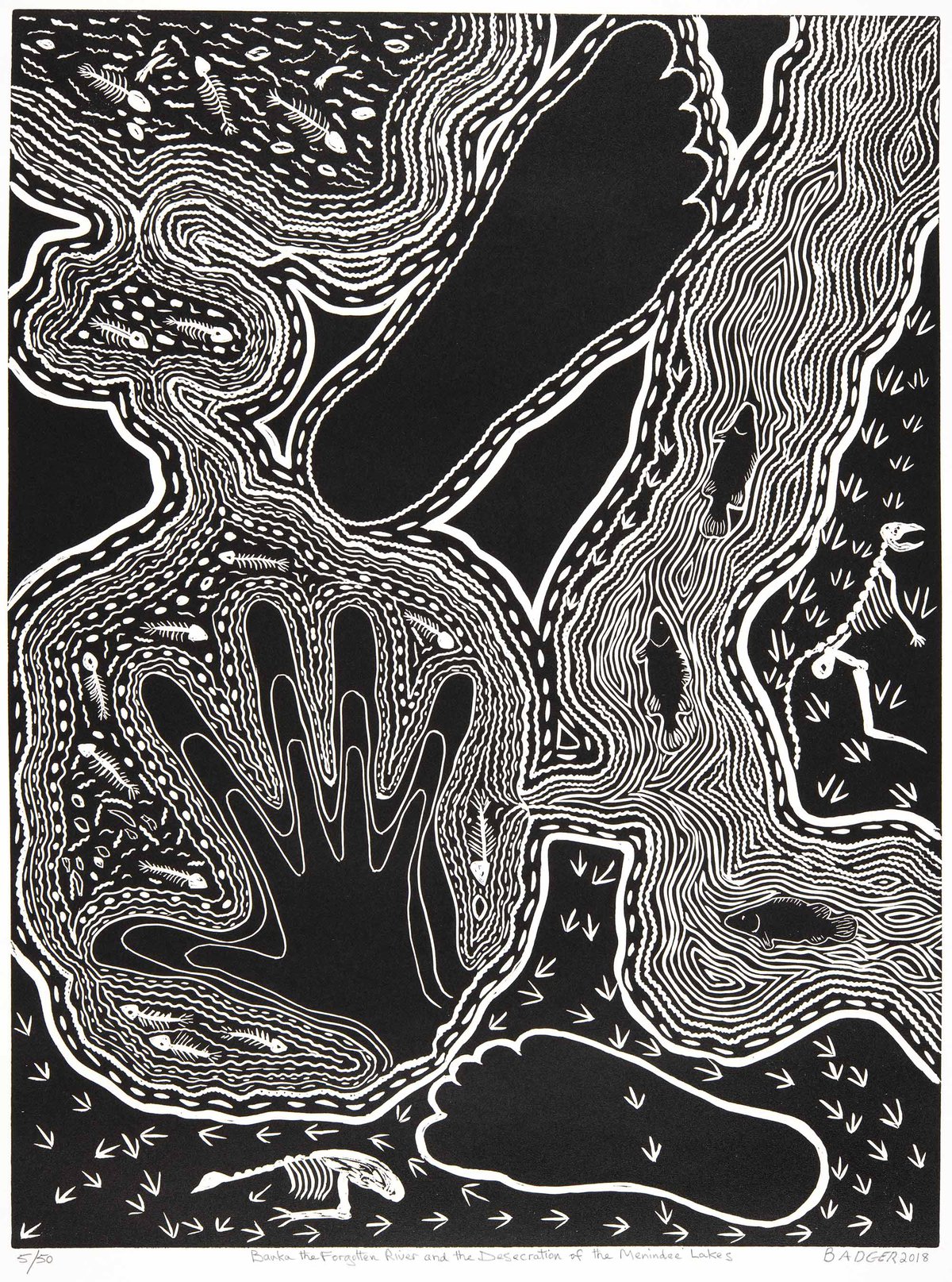 The Menindee fish kills - The Australian Museum